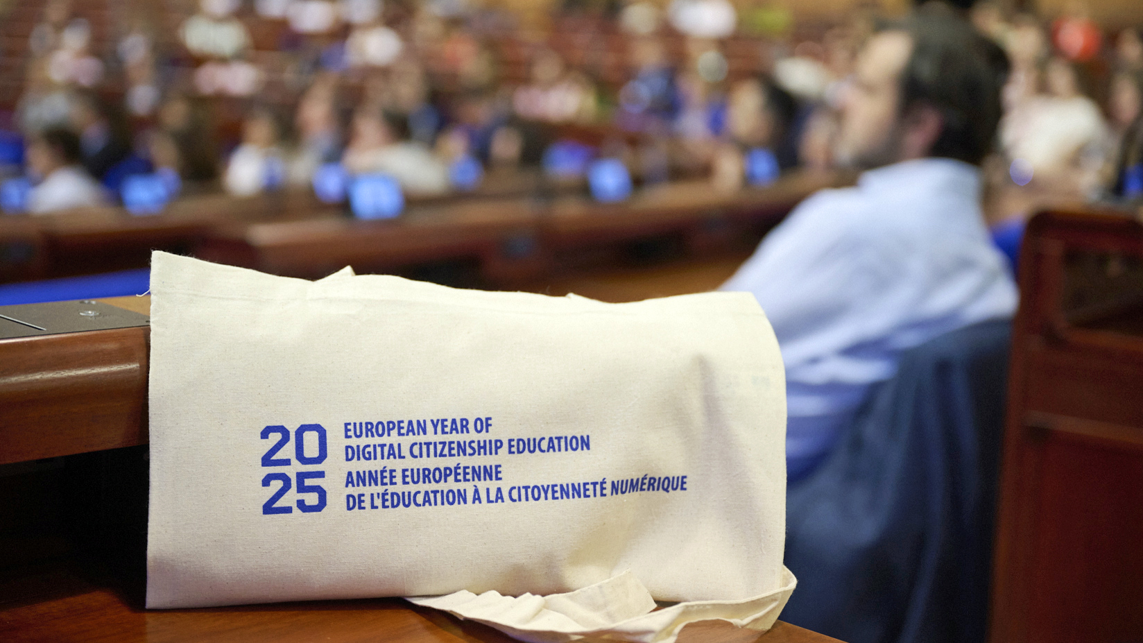European Year of Digital Citizenship Education